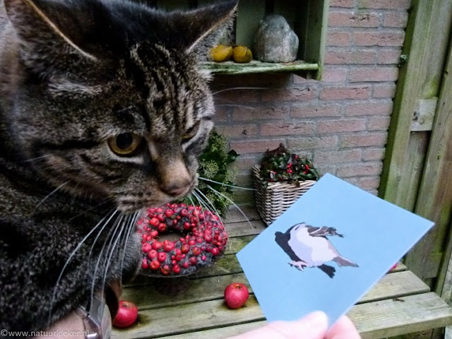 Creatief met appeltjes en een dode mus