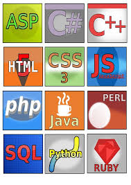Most useful programming languages to learn web development - technical ...