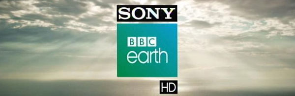 BBC EARTH VFX BREAKDOWN