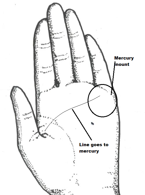 palmistry for life: Palmistry to know women features