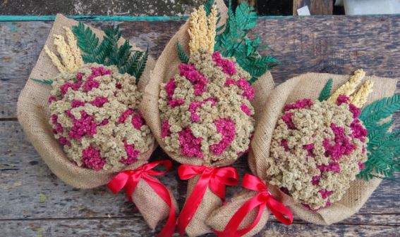 Bunga Edelweis Bunga Keabadian Yang Cocok Untuk Berbagai Moment