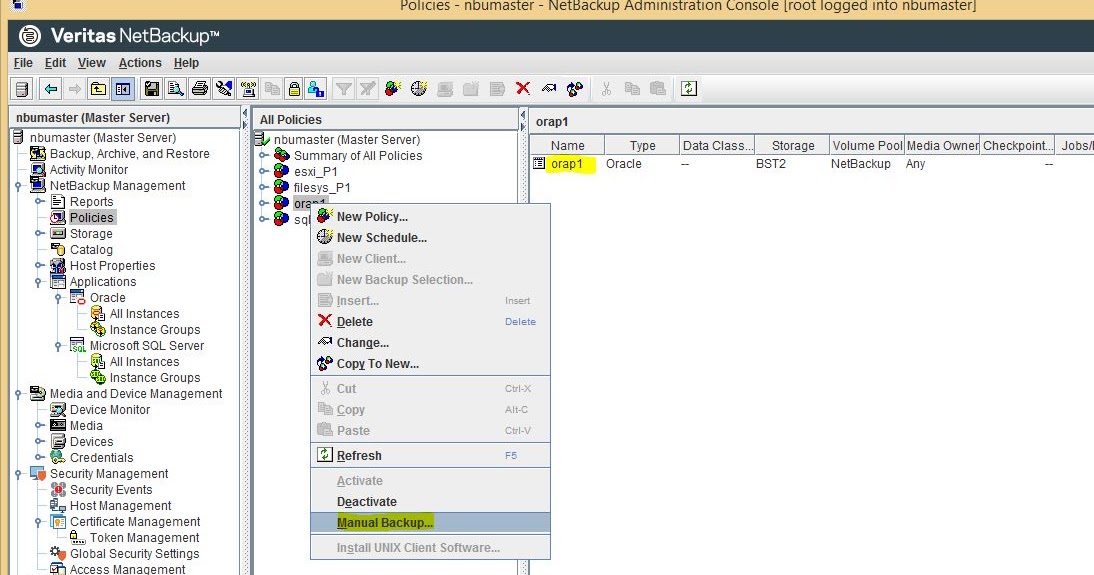 Remote Infrastructure Management: NetBackup - Performing ORACLE ...
