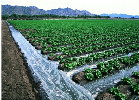 Sistem pengairan atau irigasi permukaan lahan ~ Teknelogi & Informasi ...