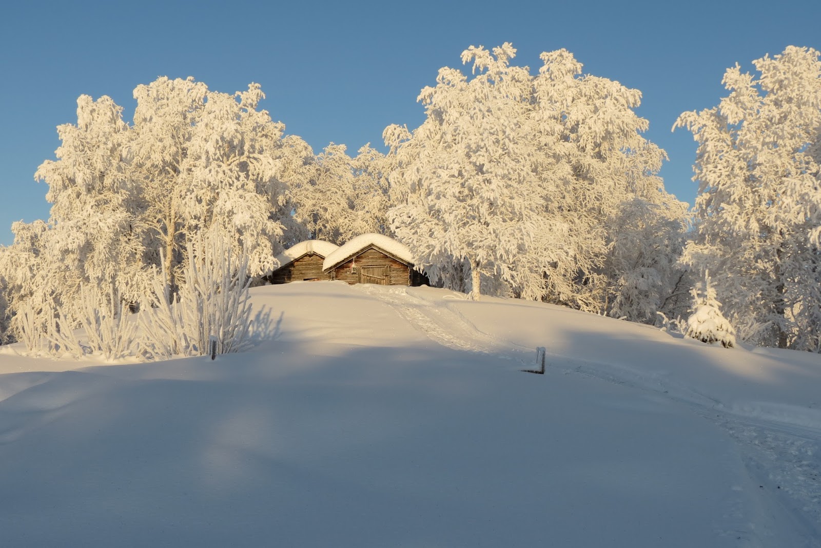 Maahisten maasta: Helmikuun tunnelmia
