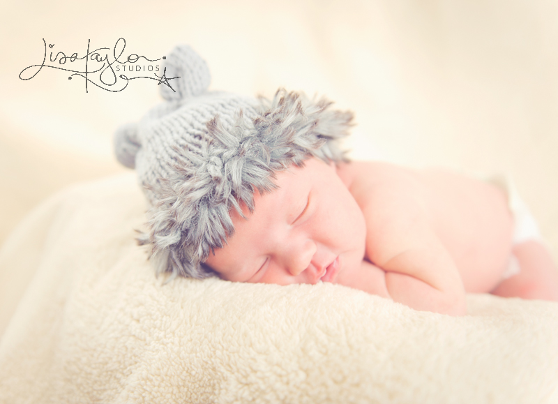 Lisa Taylor Studios | Utah Photographer