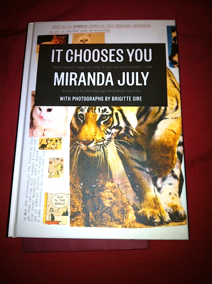 111 Books: 55/111 - It Chooses You by Miranda July