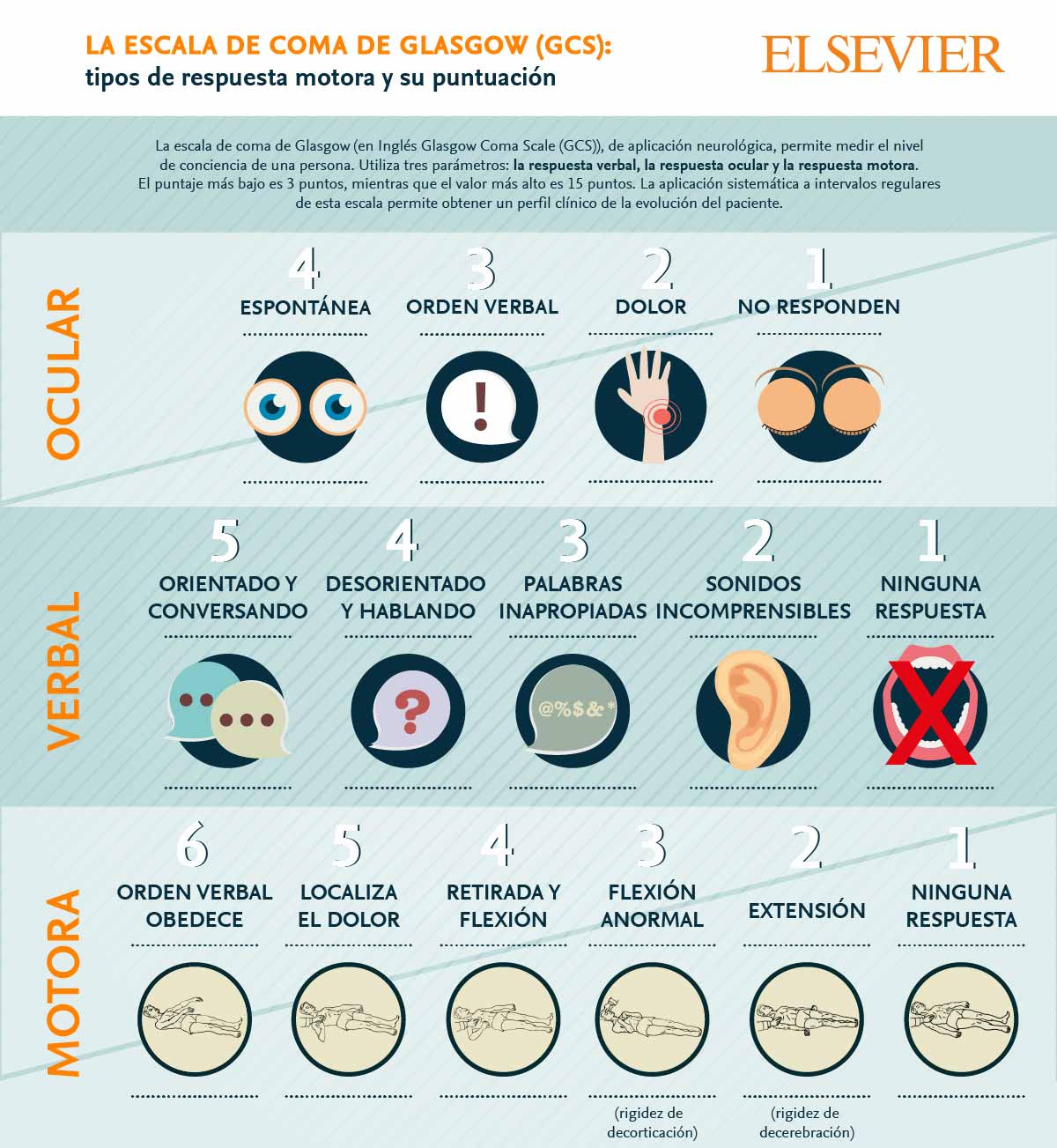 Enfermeras en Potencia: Escalas