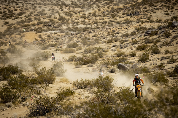 American Motorcycle Design: Biltwell 100