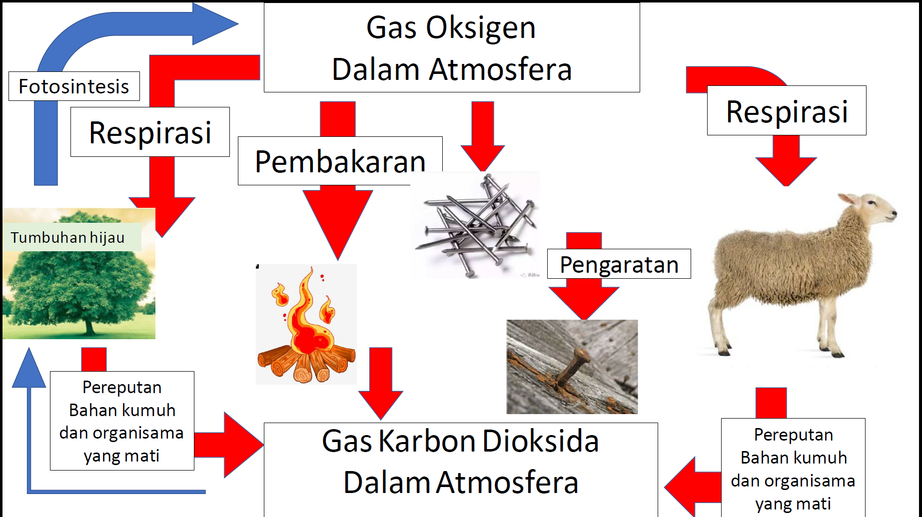 Explore to Koh's Science World ( Blog Sains): KITAR KARBON DAN KITAR ...