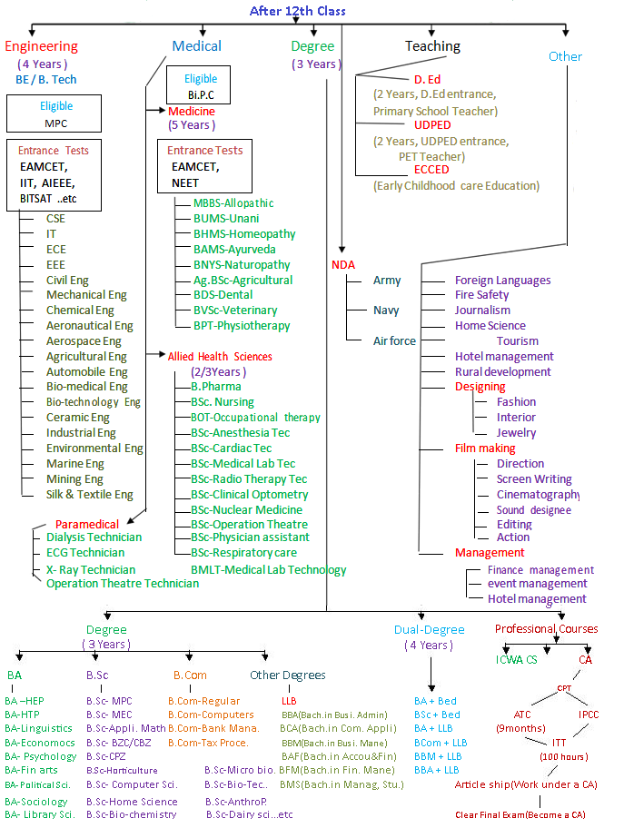 Career Map After 12th