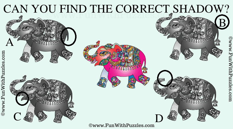 Picture Puzzle Challenge: Identify the Correct Shadow