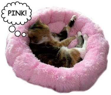 Living in Interesting times