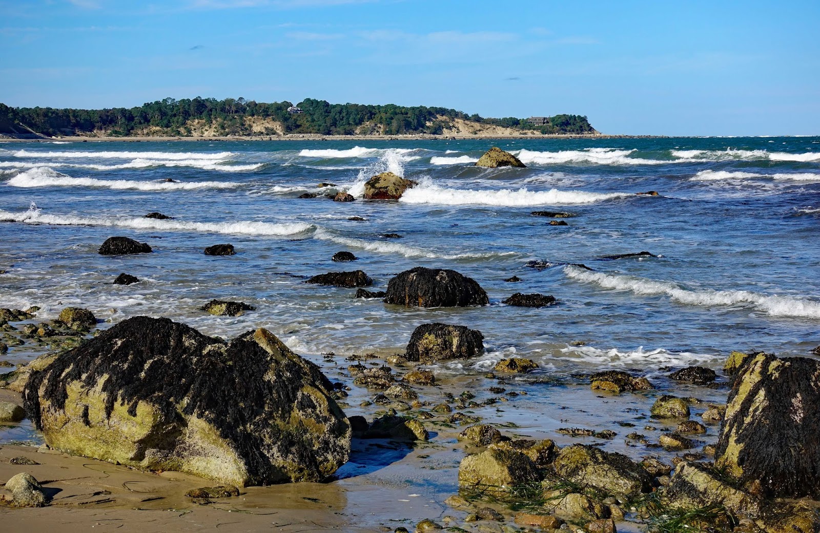 Joe's Retirement Blog: Blue Sky, Bright Sun, Strong Wind, and Rough ...