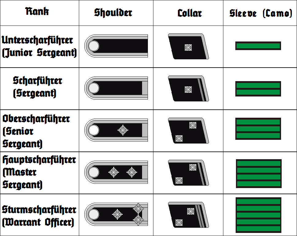 No solo batallas SGM: Insignias de las Waffen-SS