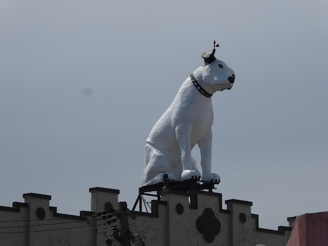 Photo-ops: Roadside Attraction: Nipper the RCA Dog - Albany, NY