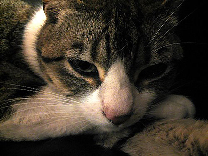 AAA ACCADEMIA AFFAMATI AFFANNATI: Frullato di banana, cacao, caffè. Con ...