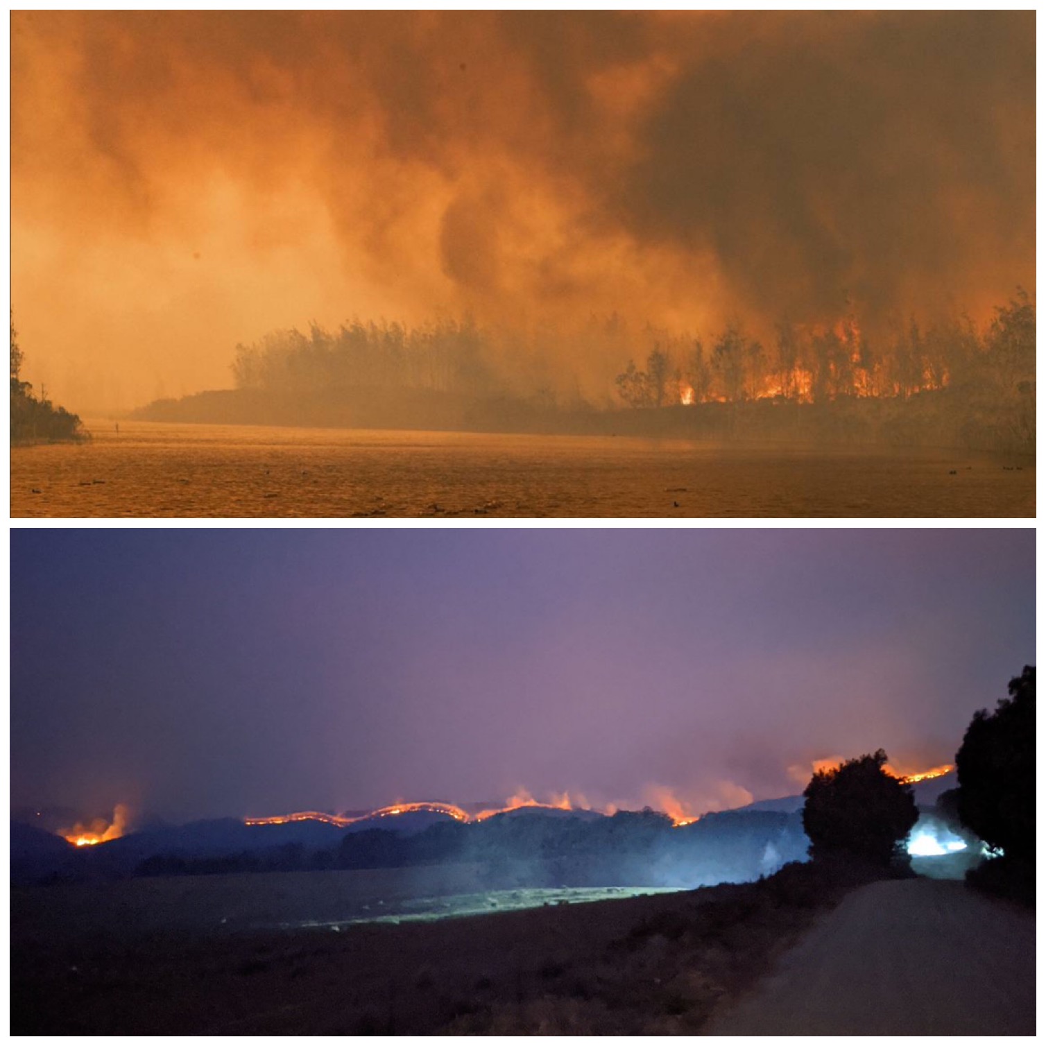 ON THE GRAPEVINE: 2019