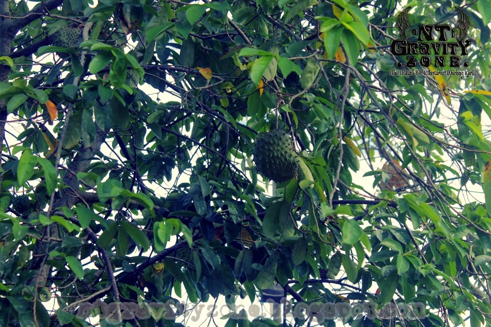 February 2014 - NTGravity Zone