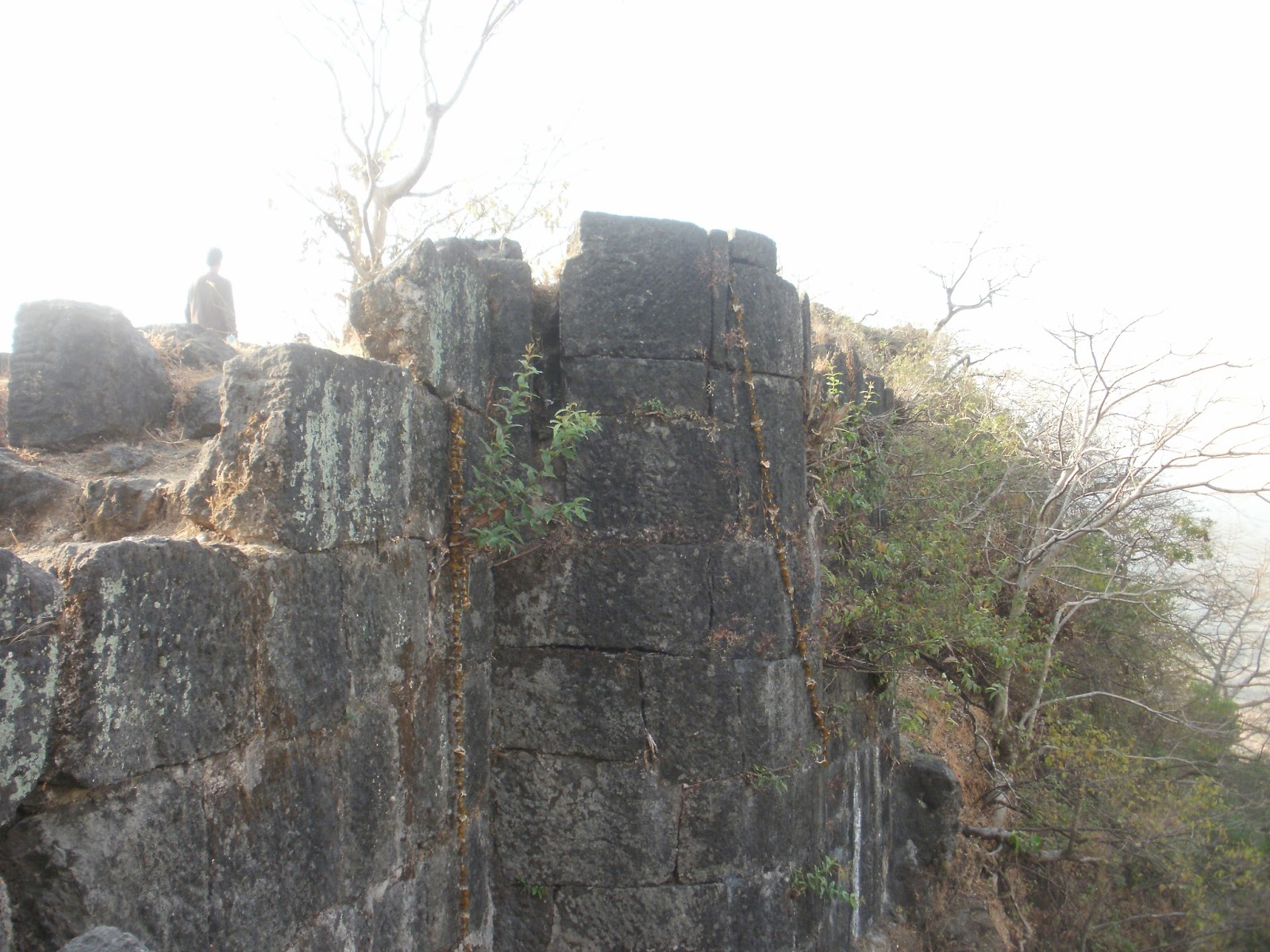 Anurag's Corner: AvchitGad-Birwadi Fort-GhosalGad-TalaGad-Kuda Caves ...