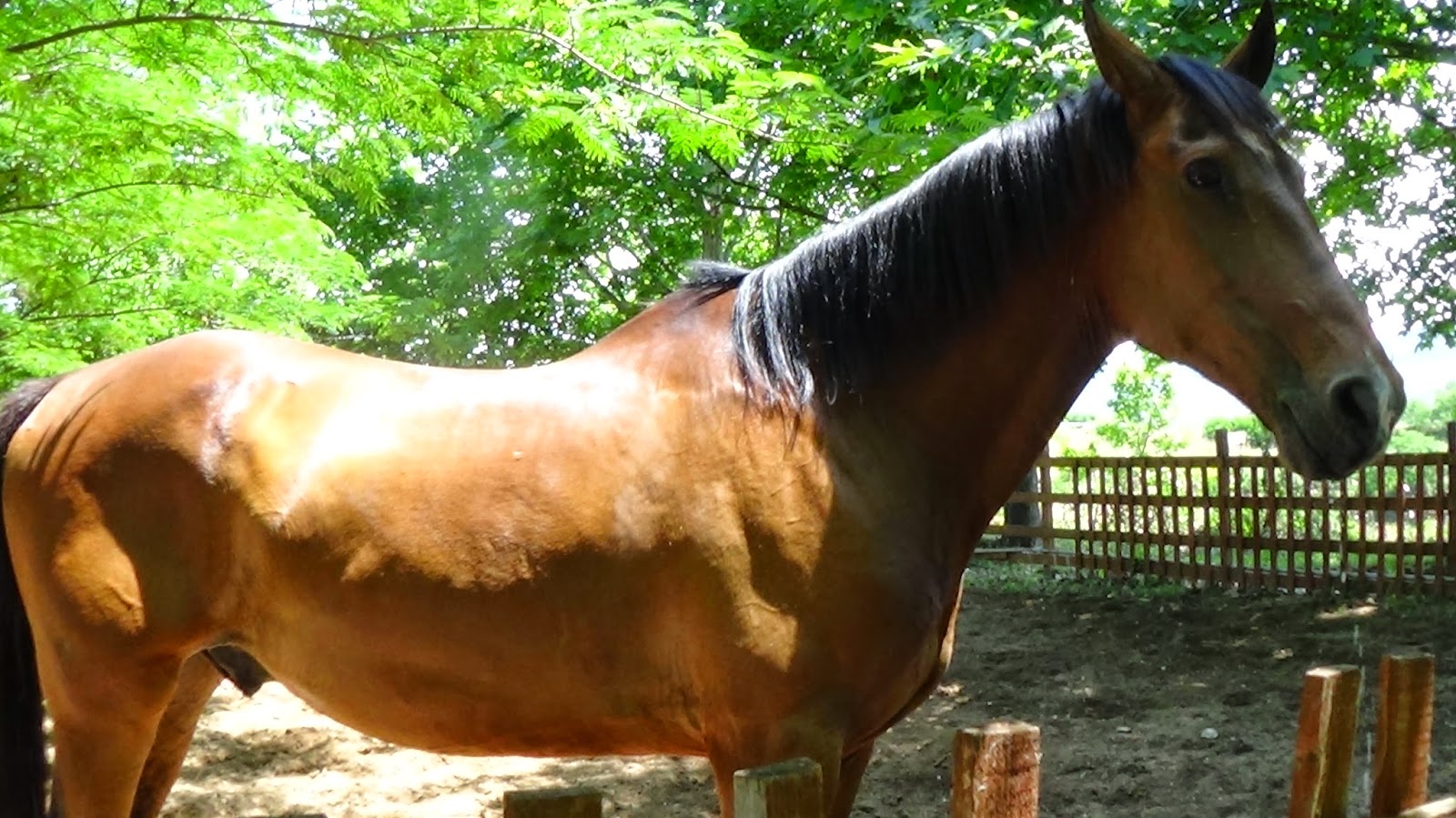 Δημιουργική Κίνηση για την Ανατροπή: ΠΑΡΟΥΣΙΑ ΤΟΥ ΔΗΜΑΡΧΟΥ ΔΟΞΑΤΟΥ ...