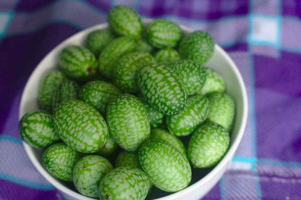 Know More About Cucamelon- Tangy Mexican Sour Gherkin