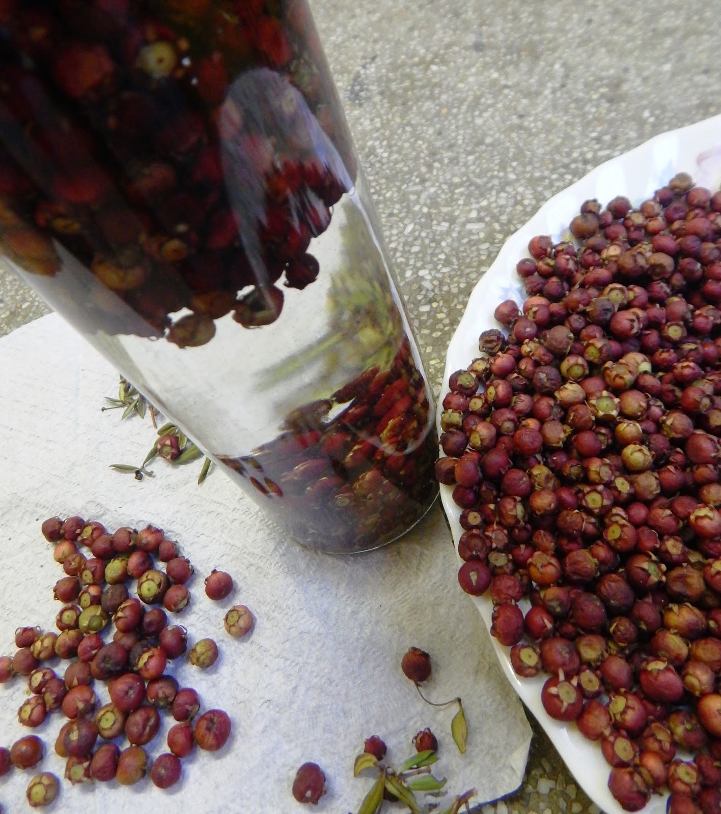 Cocina Chilena . Recetas Caseras: Licor de Murta o murtilla