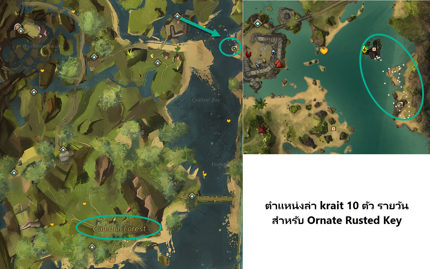 Thai Guild Wars 2 Guide