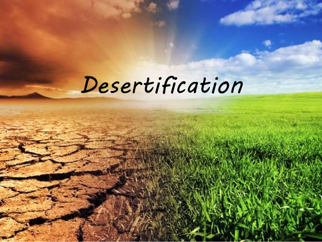 17 JUNE- WORLD DAY TO COMBAT DESERTIFICATION AND DROUGHT