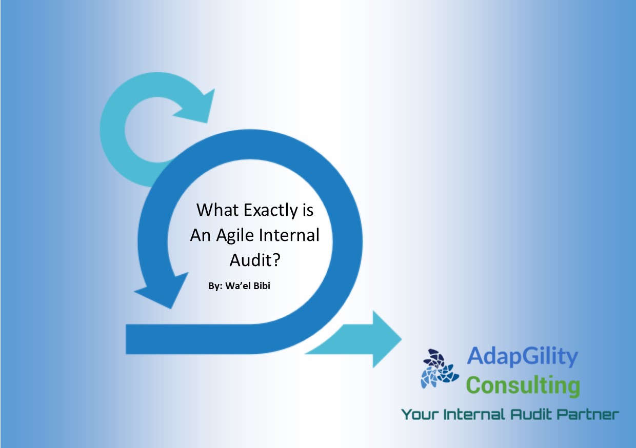 My Thoughts: What Exactly is An Agile Internal Audit?