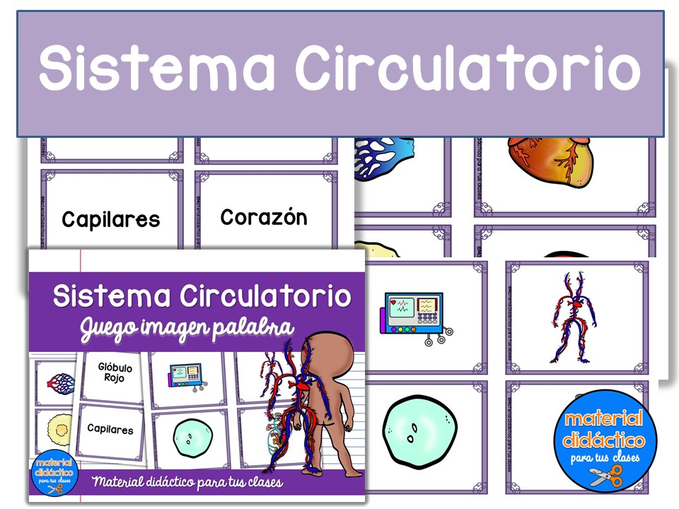 El Sistema Circulatorio - Material Didactico para tus clases