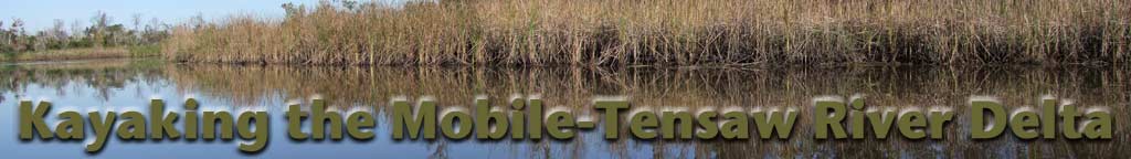 Kayaking the Mobile-Tensaw River Delta: 11/04/2009 - Chuckfee Bay