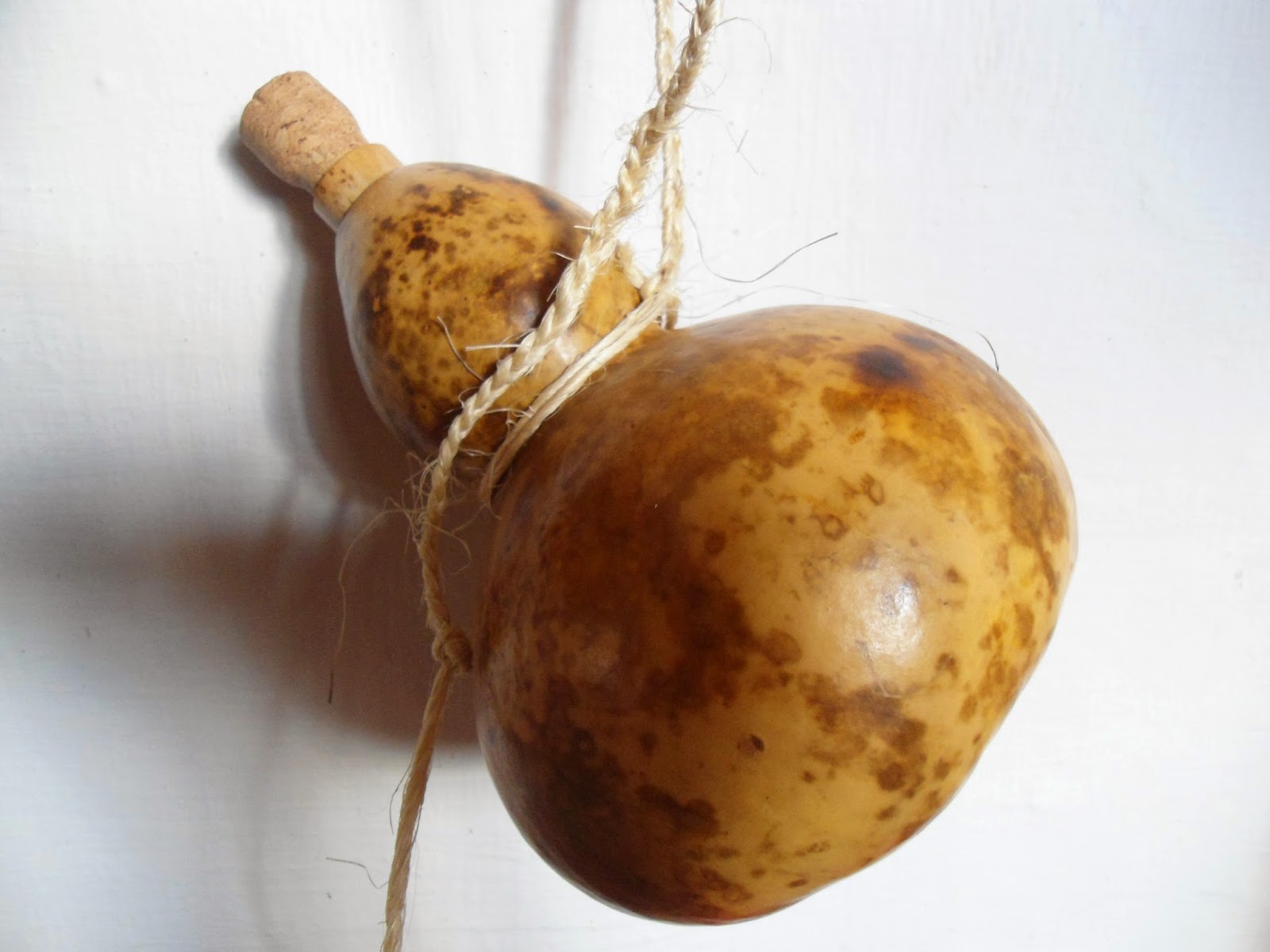 LABORATORIO DE CALABAZAS: Cantimploras de calabaza