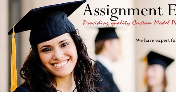 Nios Solved Assignment 2023 2024 If Trial Balance Is In Agreement It Can Be Assured That All