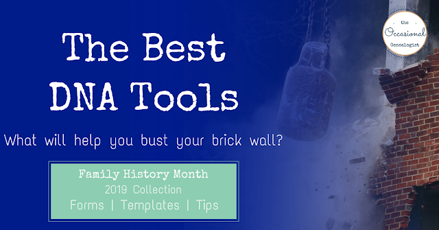 The Best DNA Tools & Do You Even Need Them?