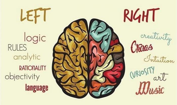 Pengertian Logical Fallacy adalah : Contoh Logical Fallacy dalam ...