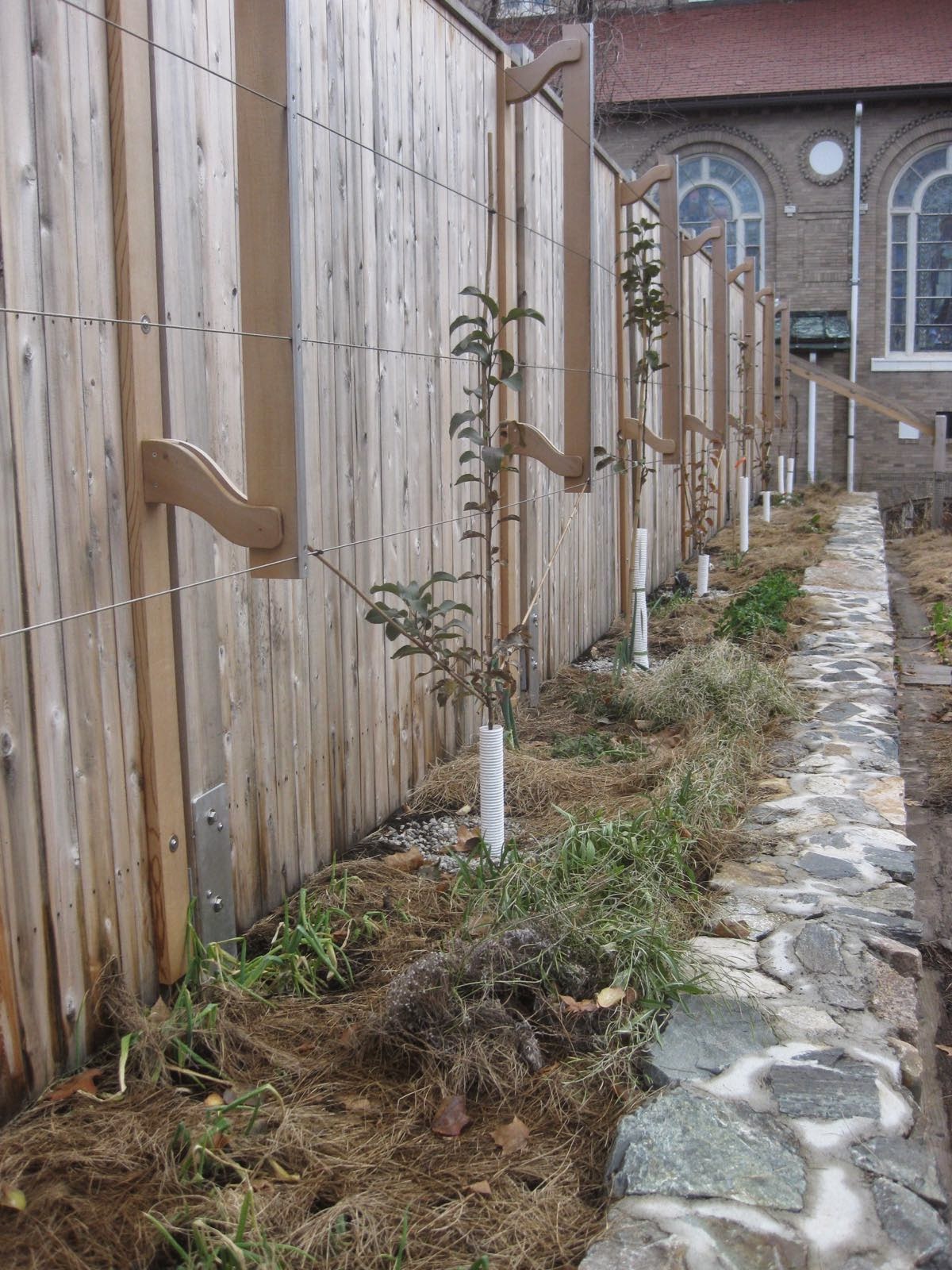 Tooling Up: CNC cut Espalier Apple Trellis