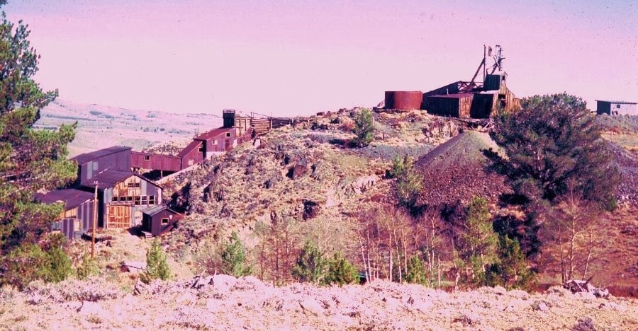 GOLD RUSH | Characteristics of Gold Deposits: Ore Shoots and How to ...