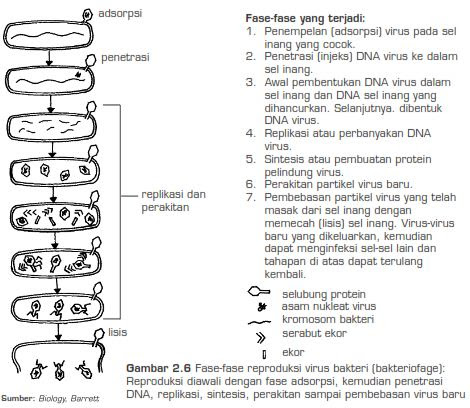 Bagaimana Karakteristik Virus? - Geograpik