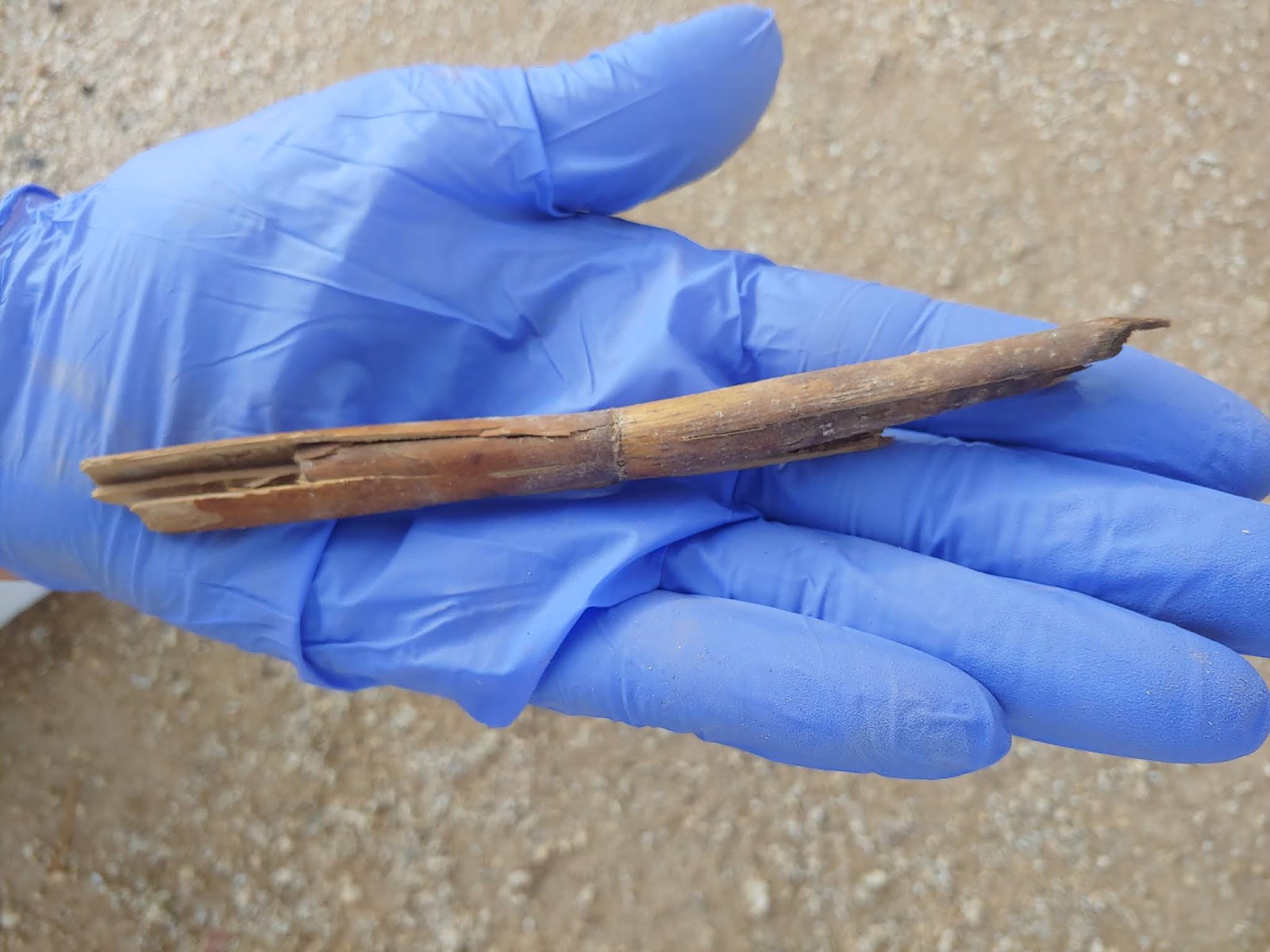 Lovelock Cave Series: Inconsistencies Found in Smithsonian's "Narrative"