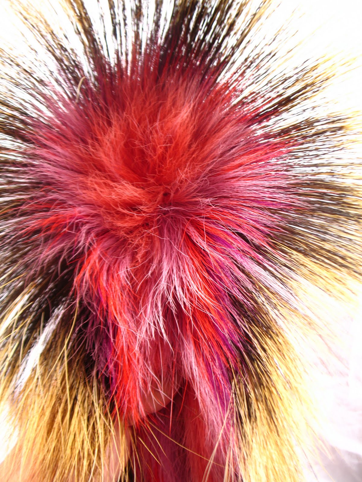 R & L Roaches: A Recent Southern Hair Base Roach (Made for Ken Hood ...