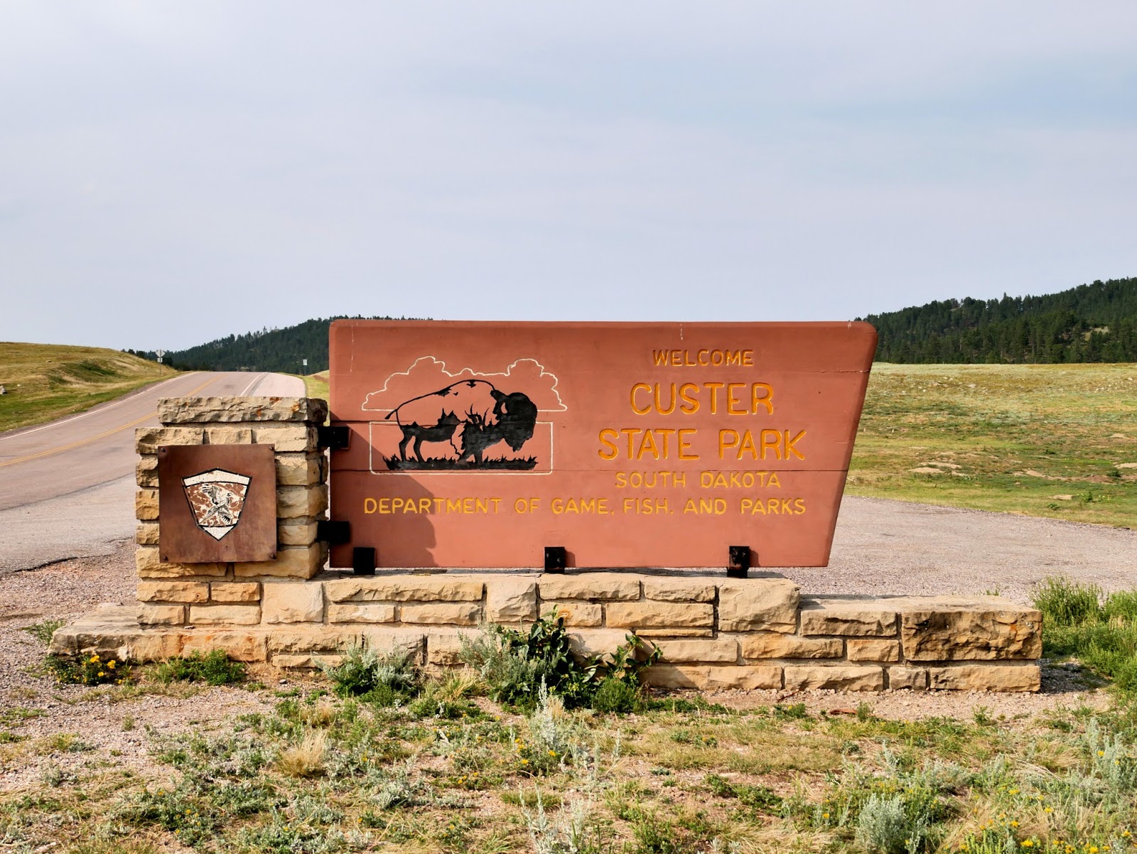 American Travel Journal: Wildlife Loop Road - Custer State Park