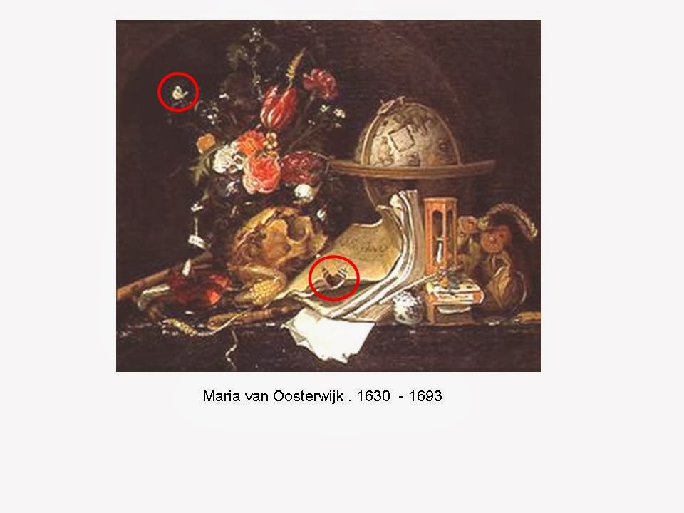 INSECTOS EN EL ARTE: "VANITAS". Memento mori