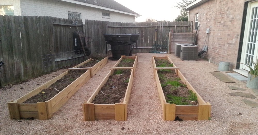 Affnan's Aquaponics: Aaron Gant, Katy Texas