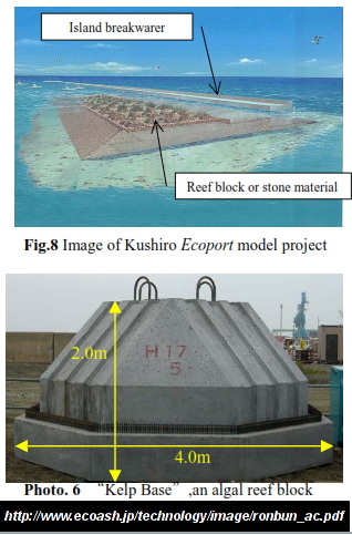 Design of Artificial reef in Chile