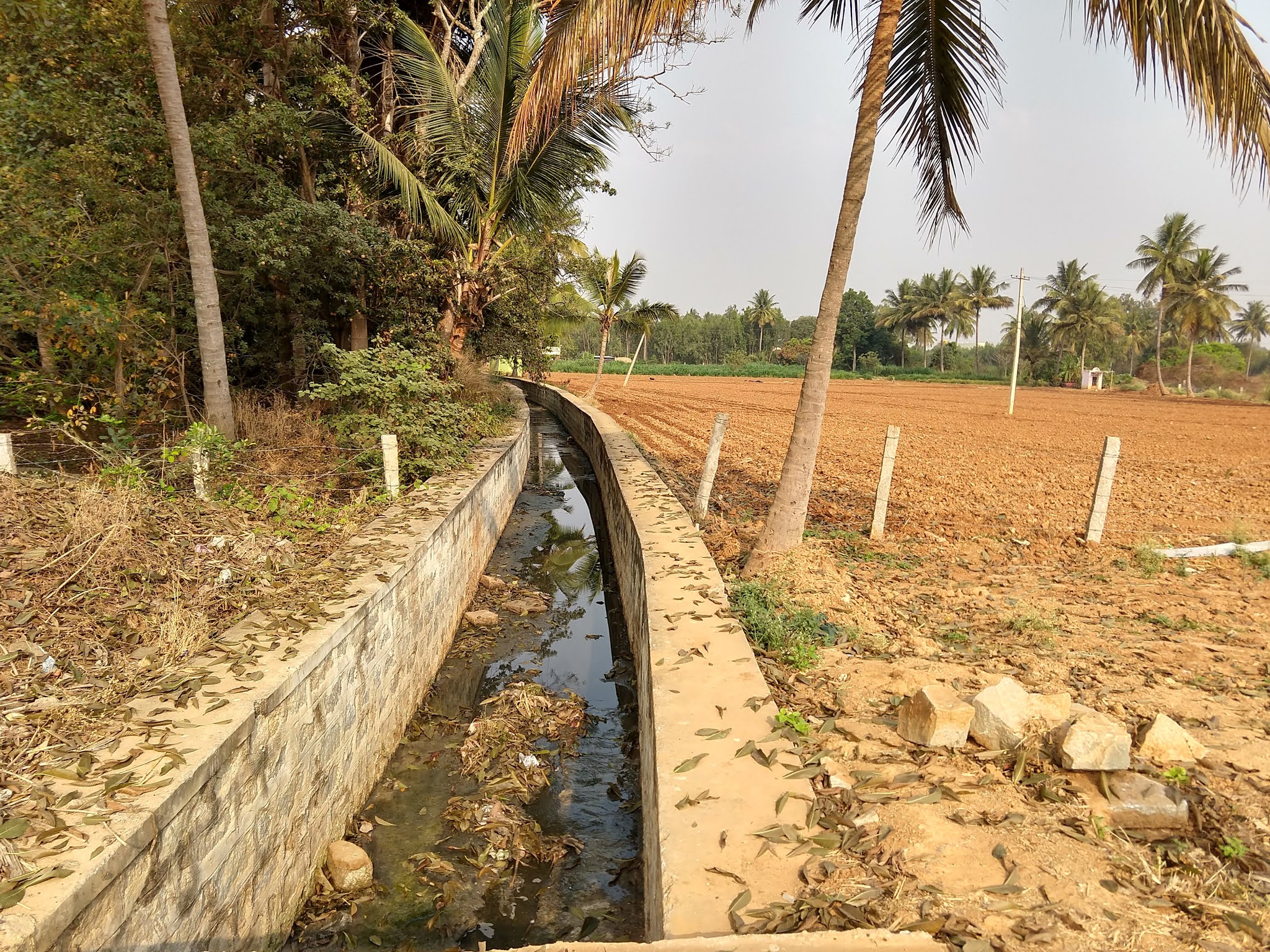 Kannamangala lake rejuvenated through Citizen-driven Participatory ...