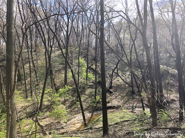 A Little Time and a Keyboard: Ravines, Wildflowers and Views Sparkle at ...