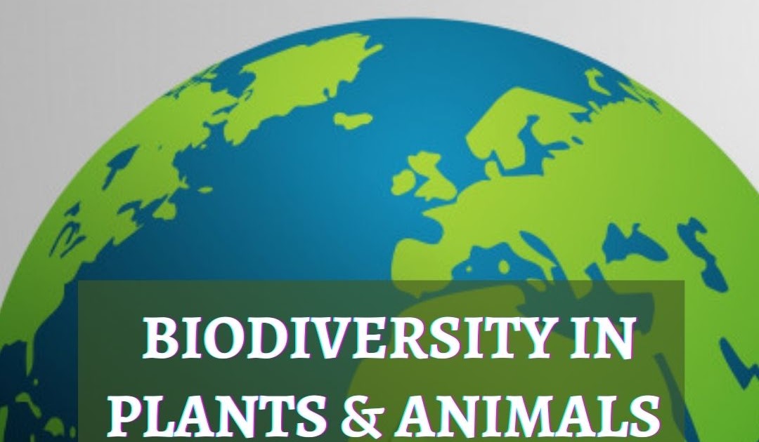 Biodiversity in Plants and Animals