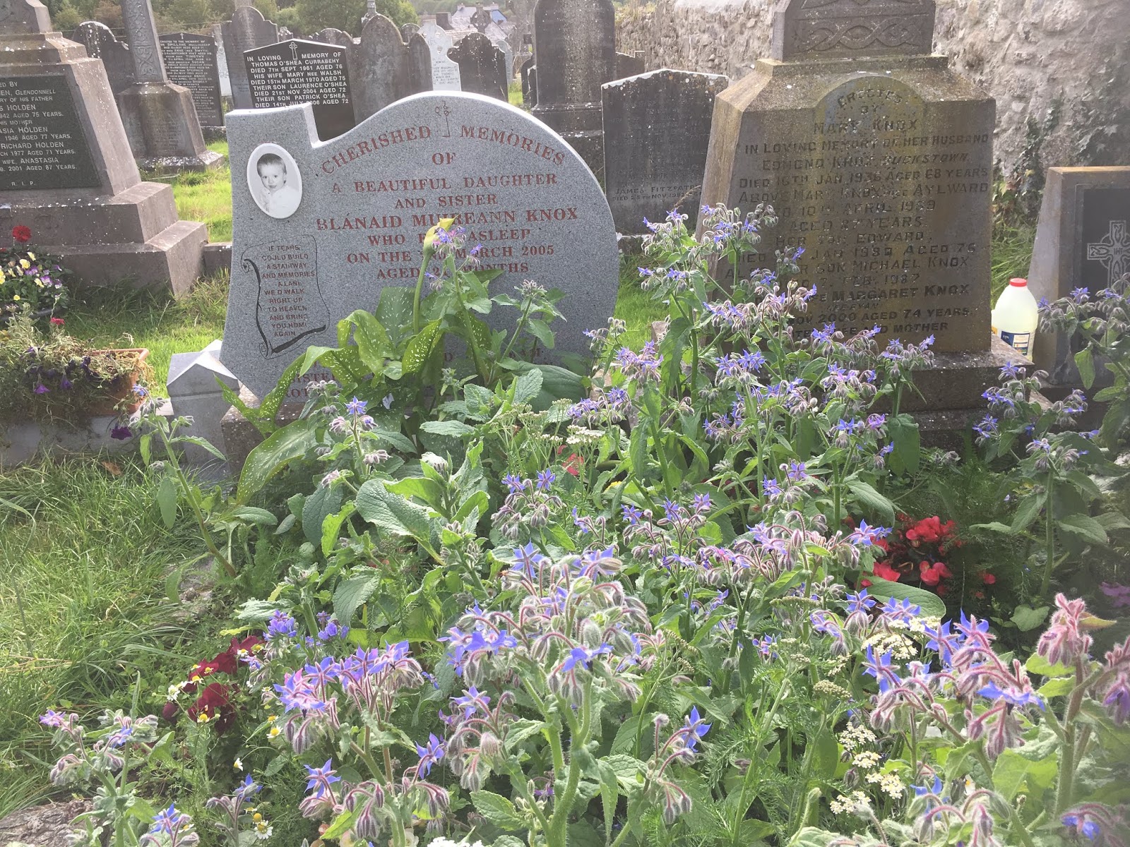 Kilkenny Graveyards: Mullinavat Parish Church and Graveyard dedicated ...