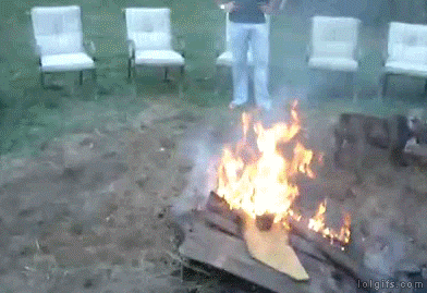 GIF of the Day | Page 13 | Just Commodores