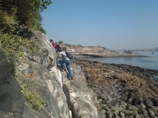 Trips - N - Tales®: Madh Fort